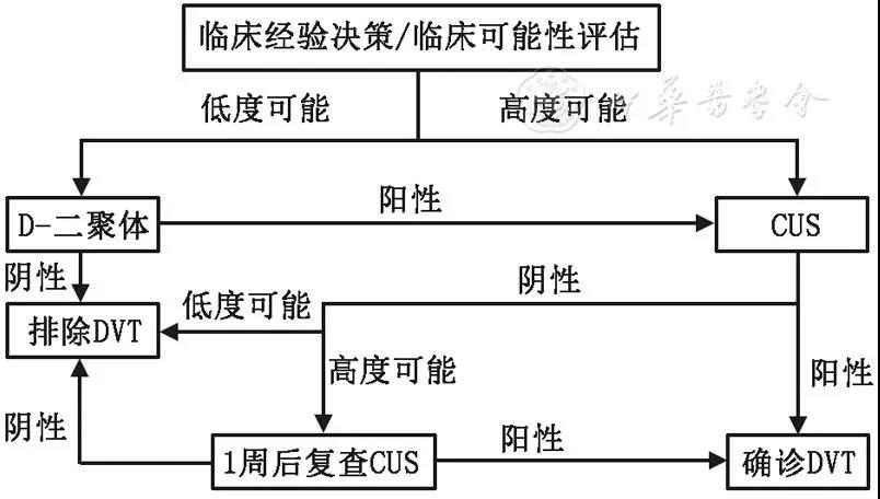 文章详情