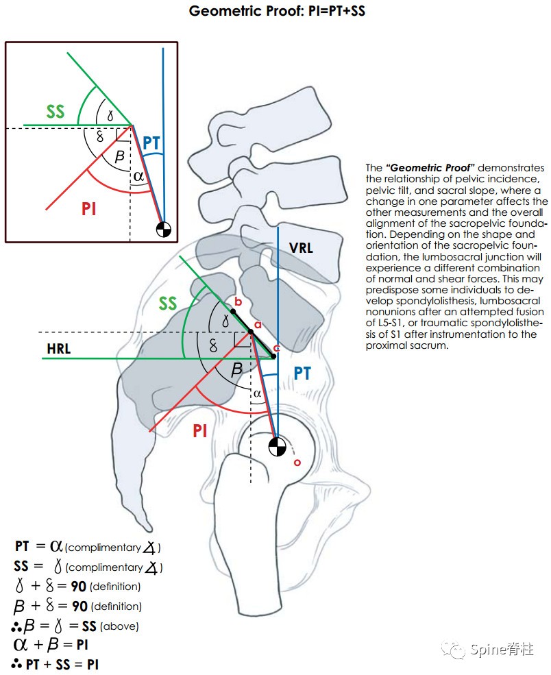 干货来了！腰椎滑脱的参数测量 - 好医术早读文章 - 好医术-赋能医生守护生命